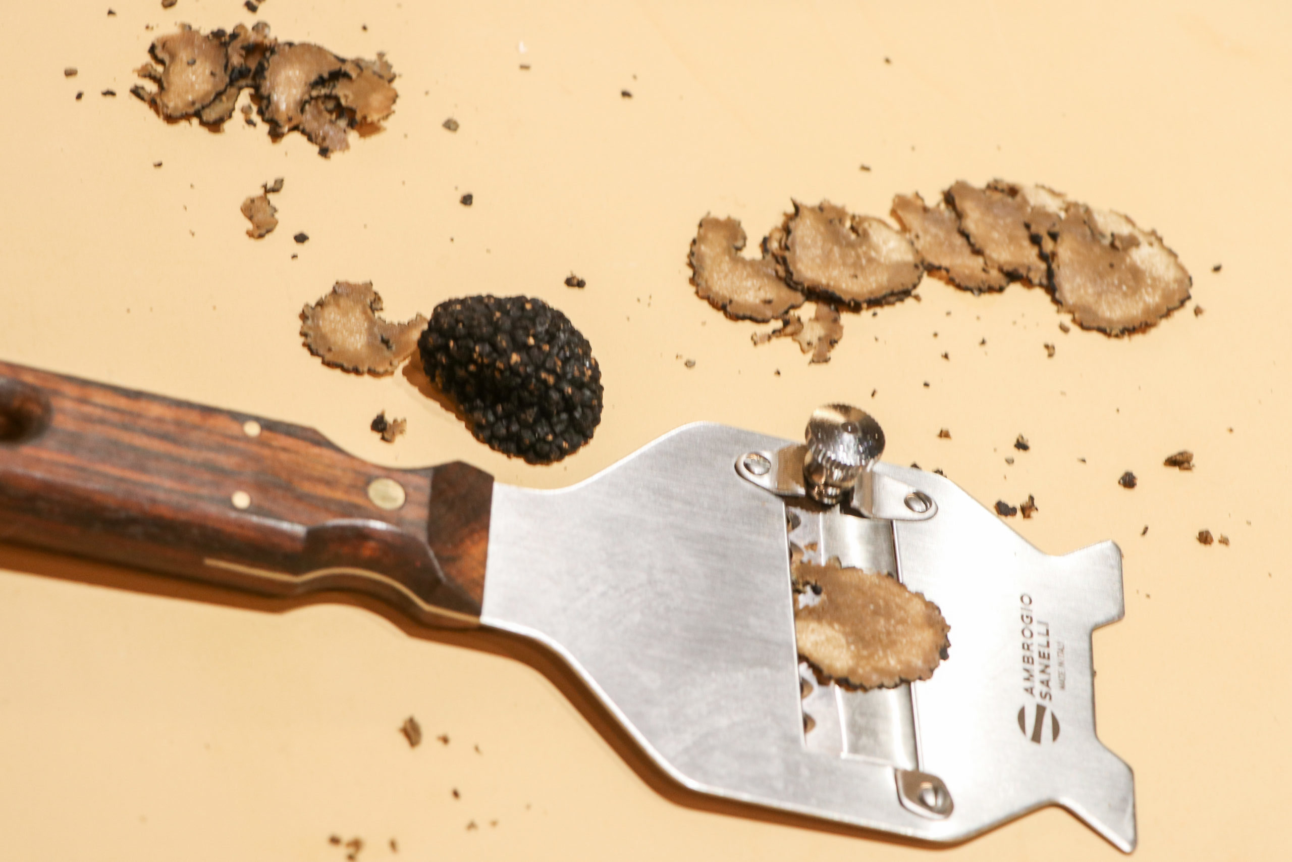 Handrich - Tora Experience